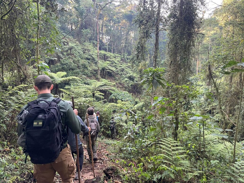 Bwindi Impenetrable National Park Ranked 3rd Best Adventure Destination ...